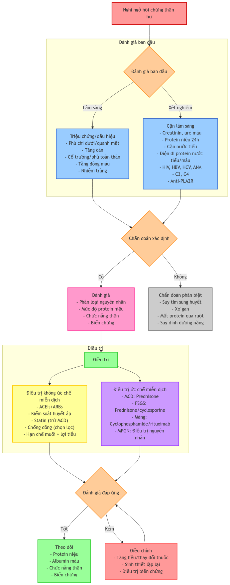 Hội chứng thận hư: Tổng quan lâm sàng - Y HỌC LÂM SÀNG
